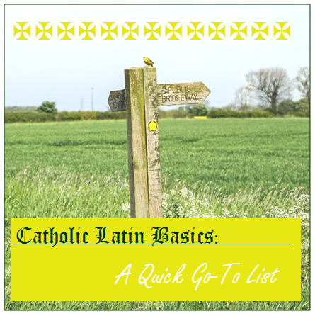 Go-To Sources for Catholic Latin Basics – Learn Church Latin